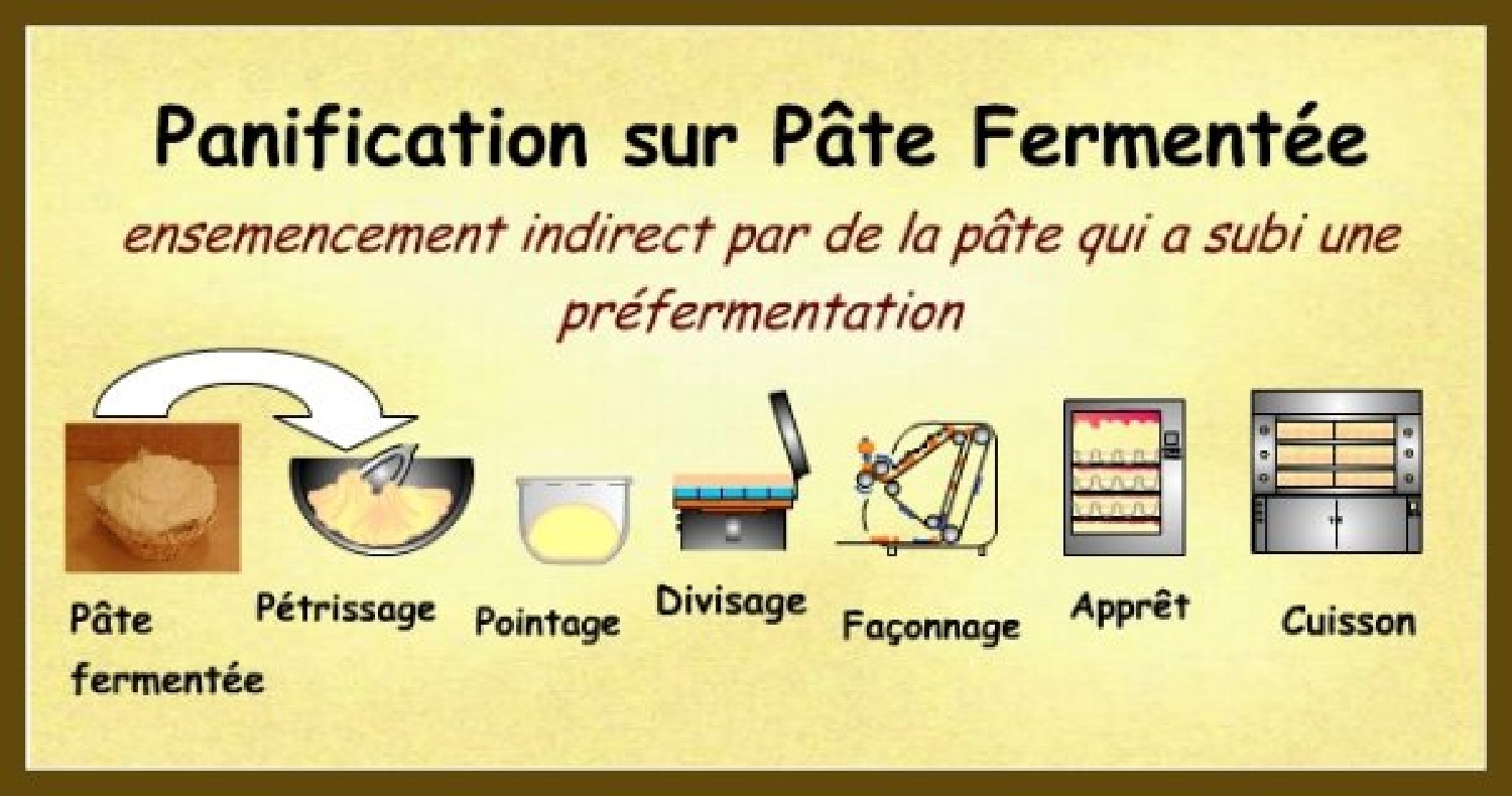 Les méthodes de fermentation sur levure - Technomitron