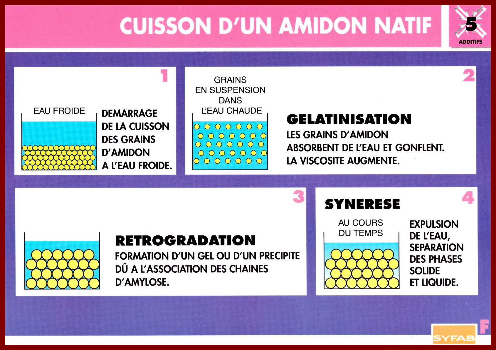 Les amidons modifiés - Technomitron