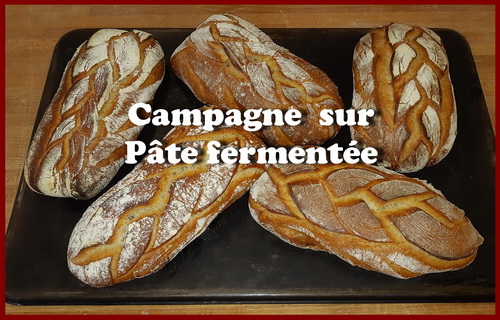 Campagne Daniel Bertrand - Technomitron