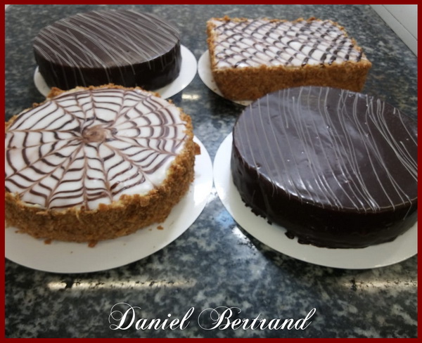 Entremets Daniel Bertrand - Technomitron